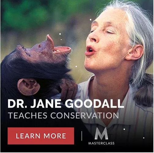 MASTERCLASS: DR. JANE GOODALL TEACHES CONSERVATION – FFON. The ...